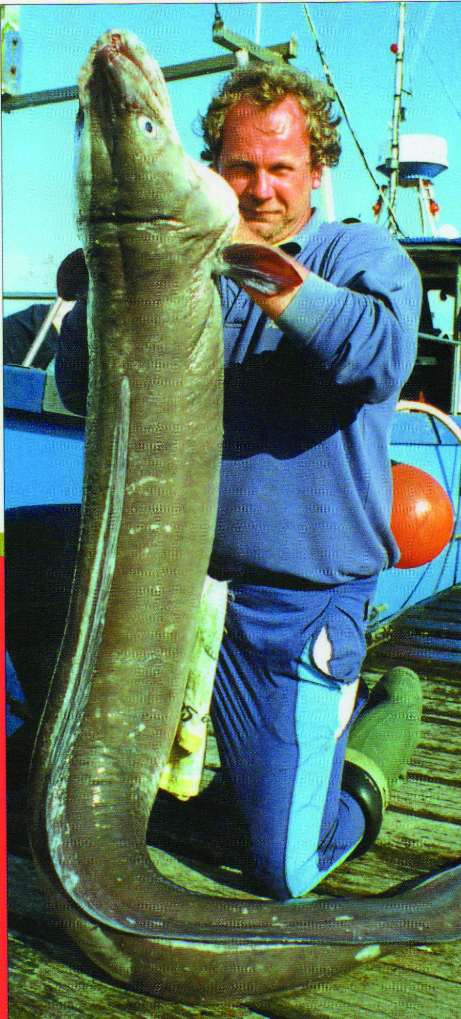 Conger diamond jubilee 1962 - 2022 - SeaAngler
