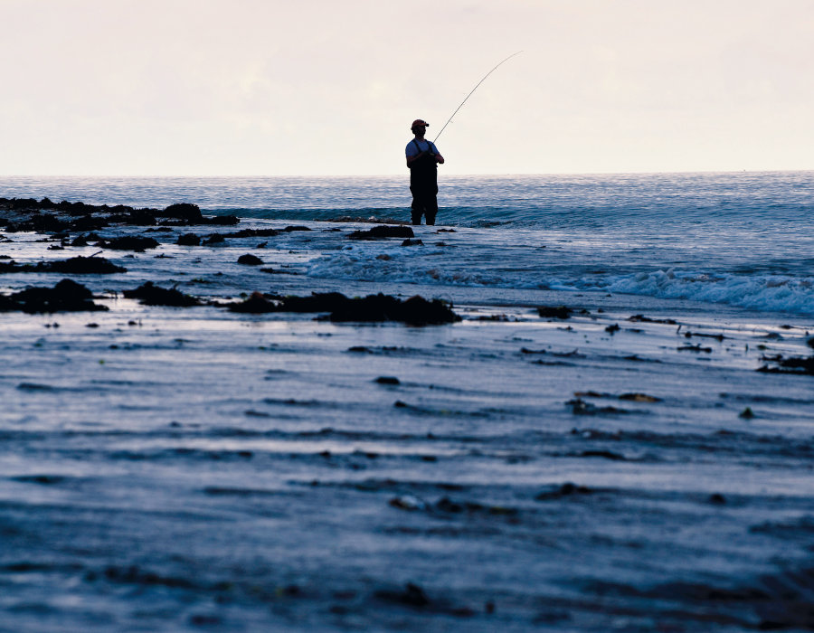 How to take great Sea Angling pictures - SeaAngler