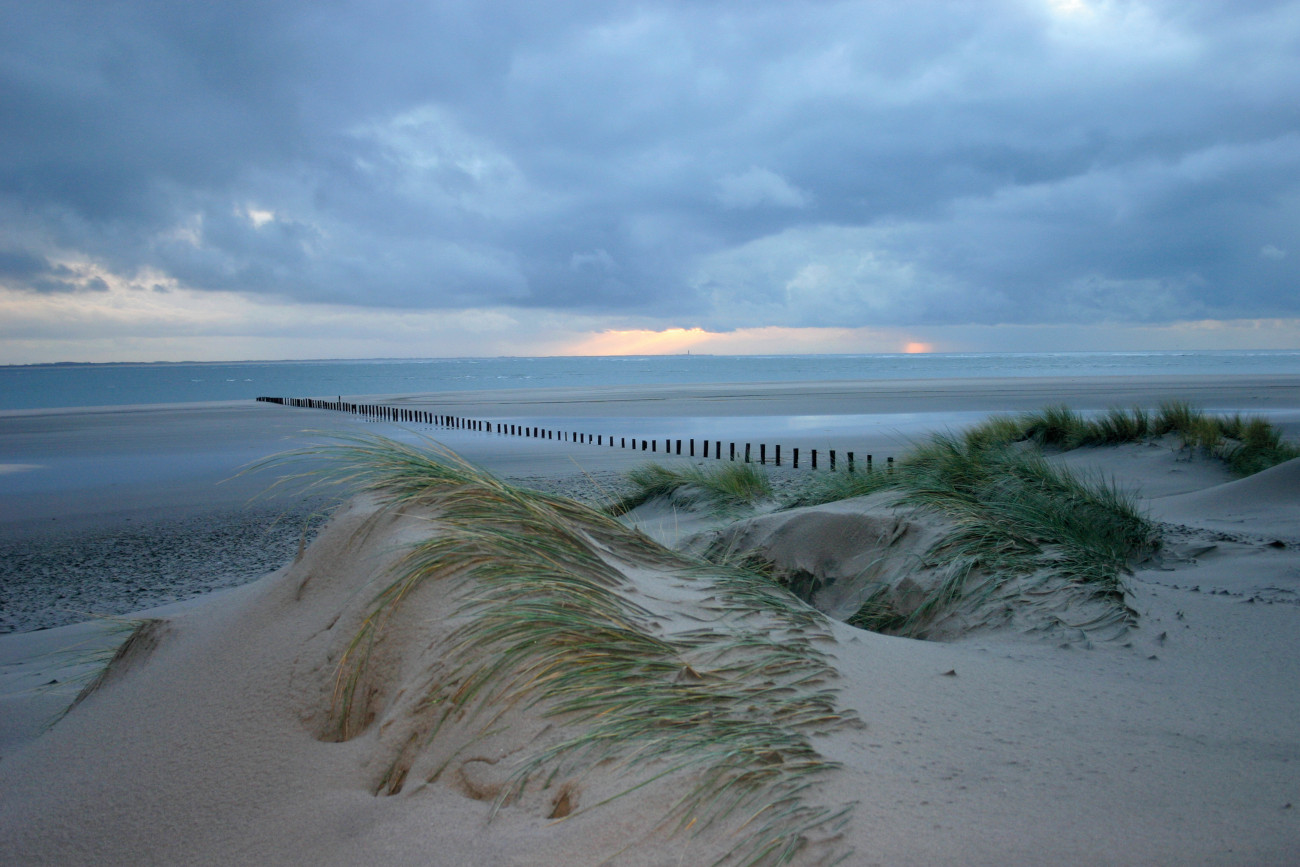 Beginners guide to understanding tides when sea fishing - SeaAngler