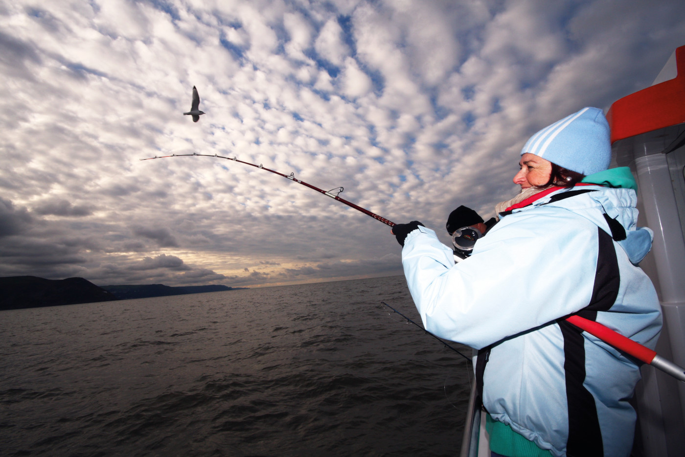 Tips & Tactics Archives - SeaAngler