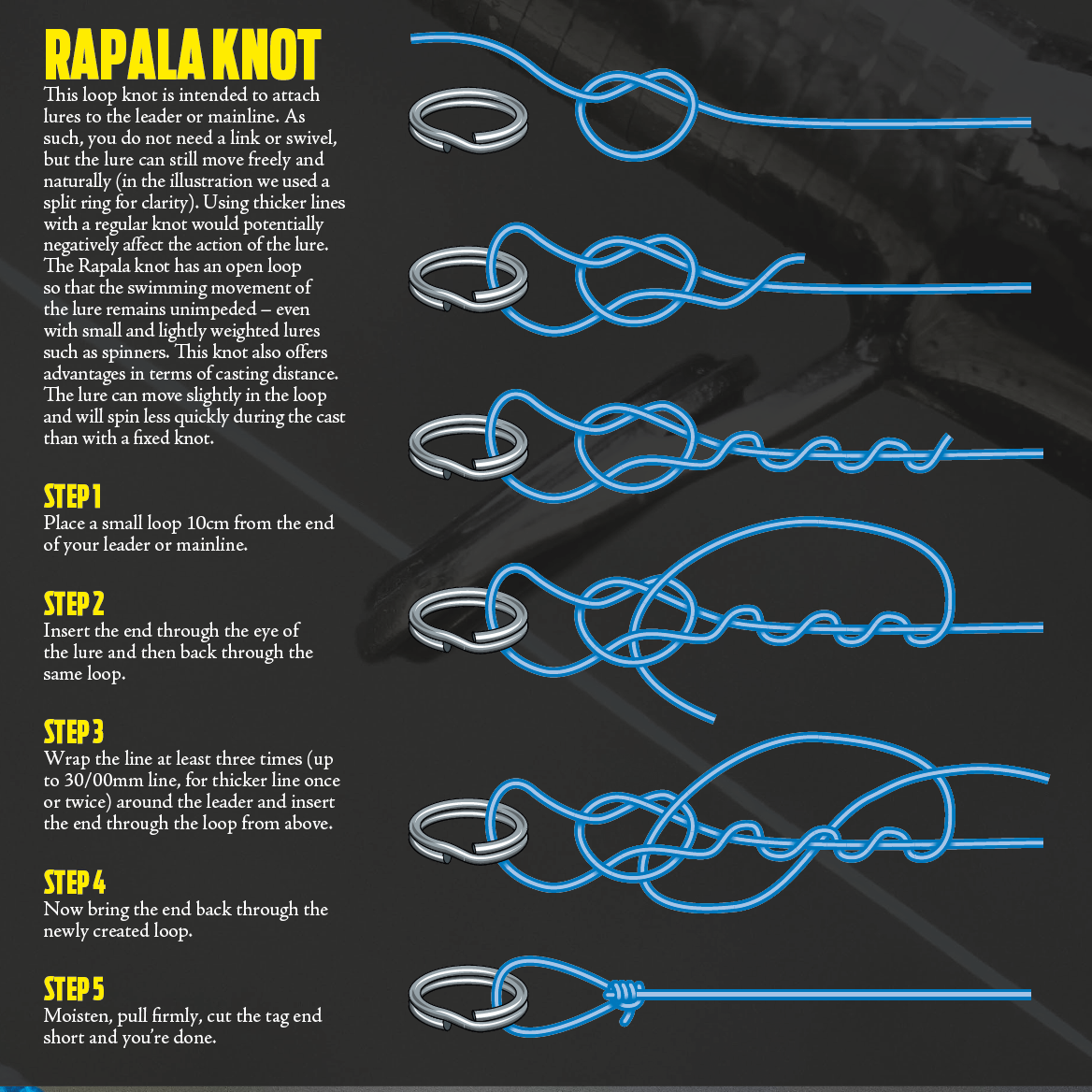 Six essential knots and how to tie them - SeaAngler