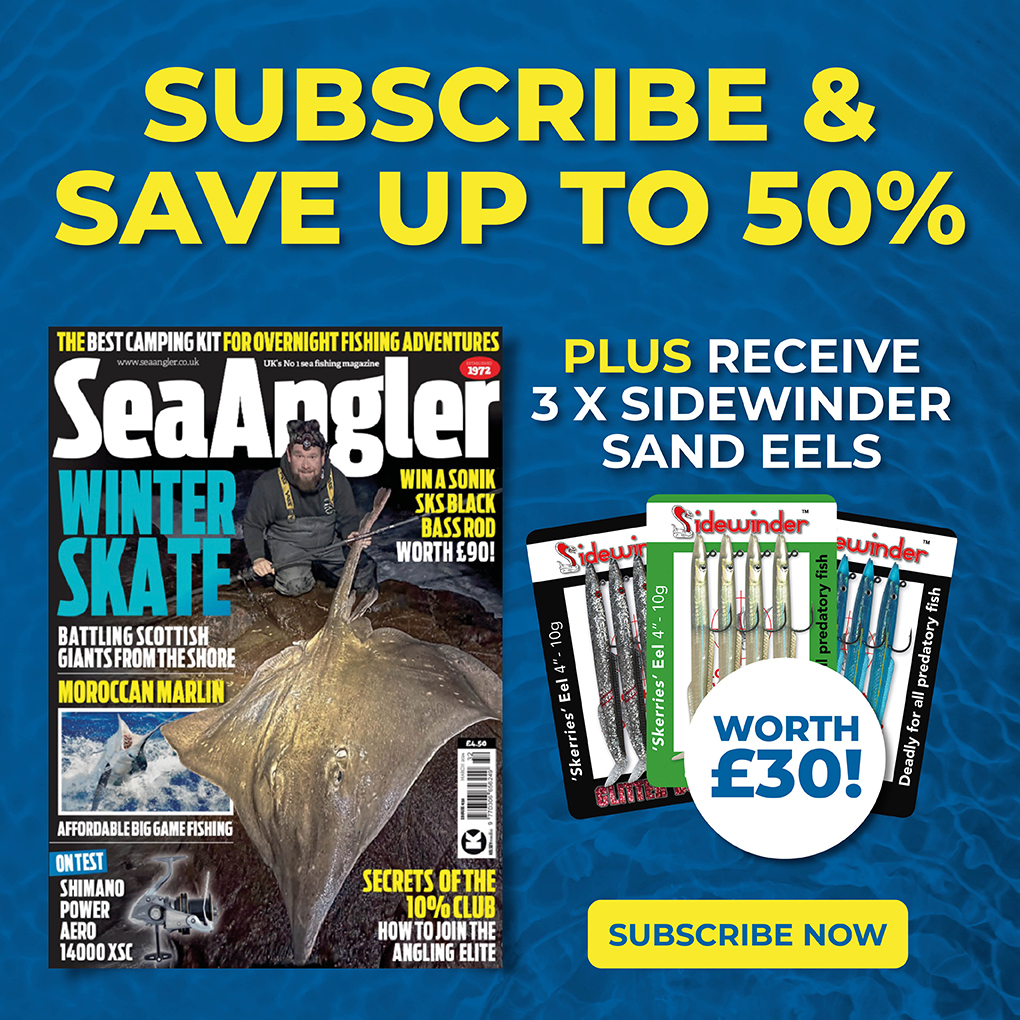 Ray Identification, Habitat, Tactics and the Best Sea Rigs to Catch ...