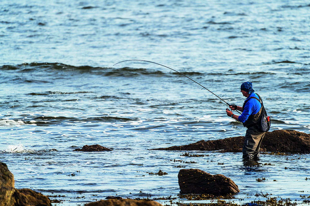 Gilbey's guide to Shallow Runners - SeaAngler