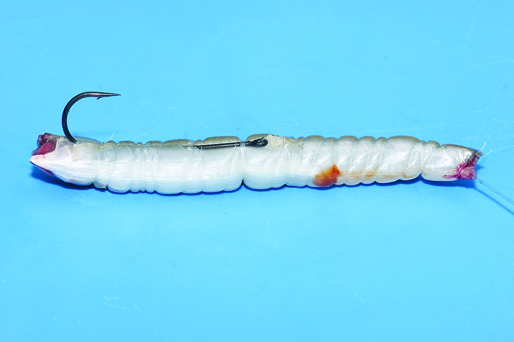 Top 10 sea angling baits - SeaAngler