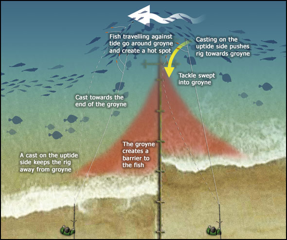 Top Tips for Sea Fishing Against Groynes - SeaAngler