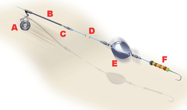 Flounder Rig for Boat Fishing - SeaAngler