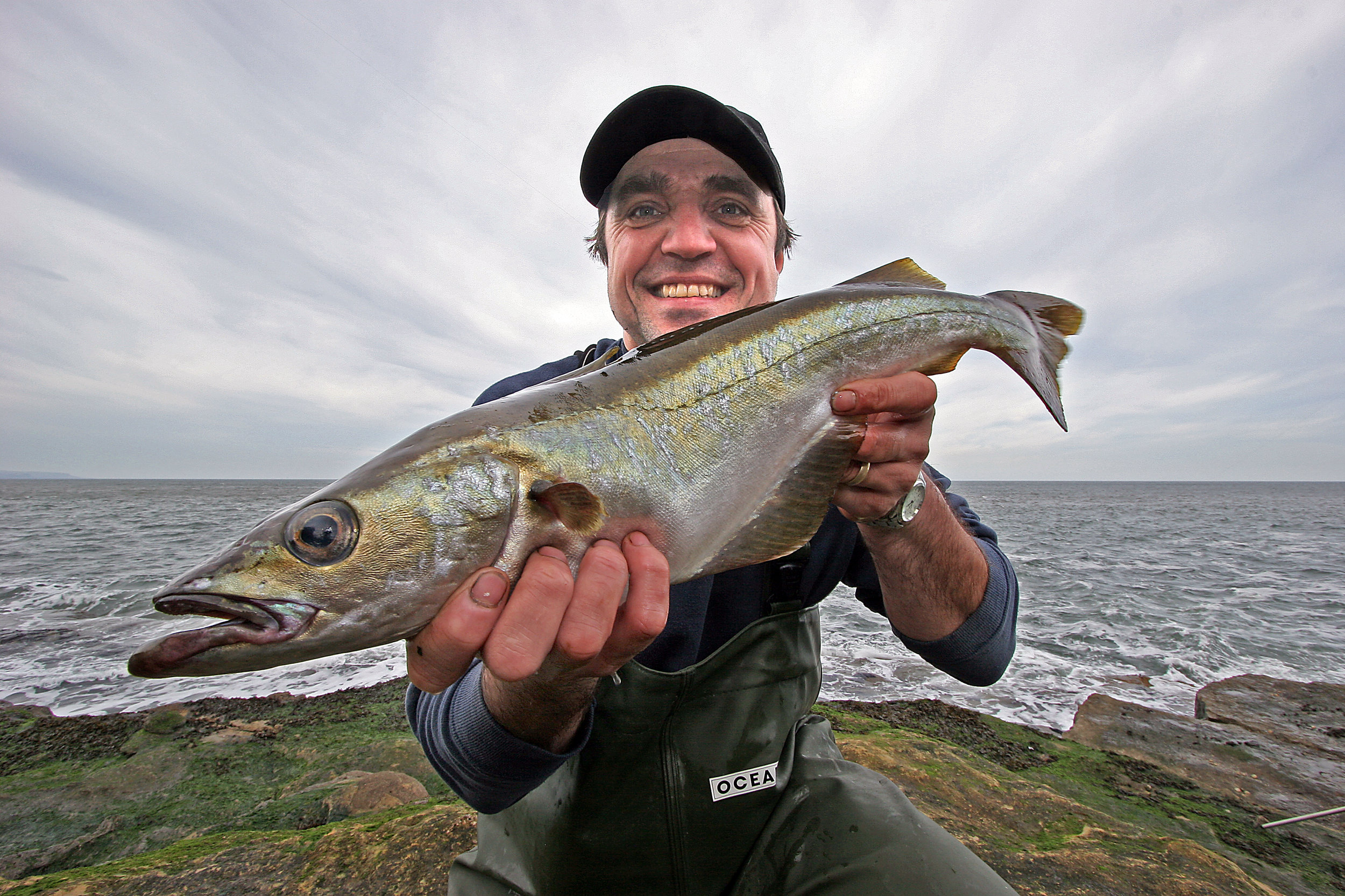Filey Brigg Providing Top Pollack, Coalfish and Codling Action - SeaAngler