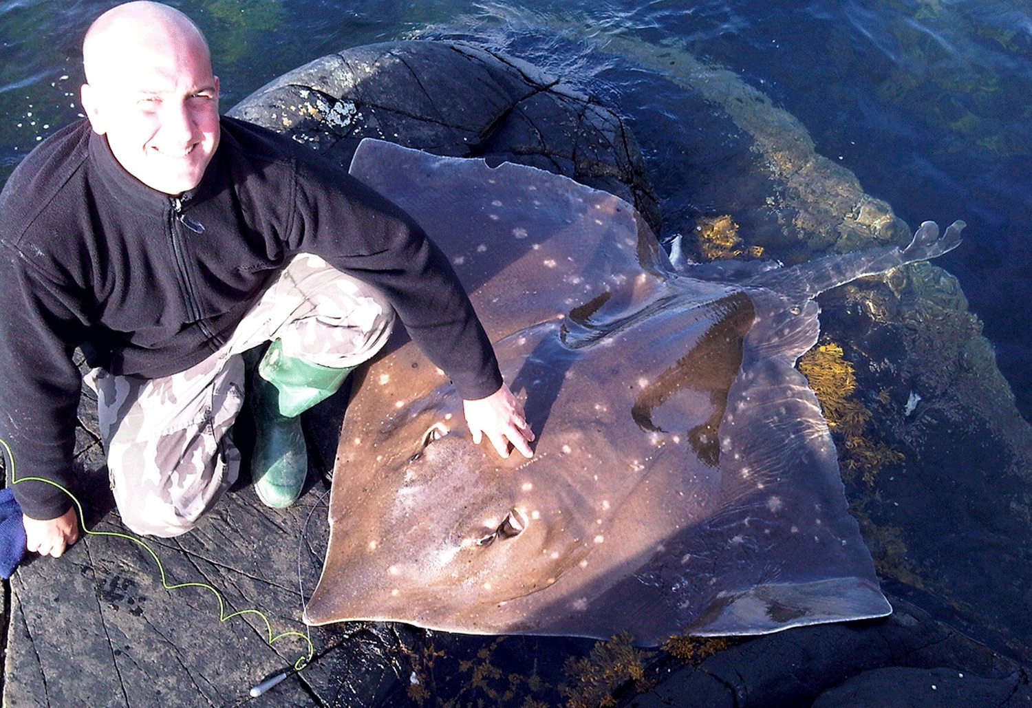 192lb-plus Skate Caught From the Shore Off the West Coast of Scotland ...