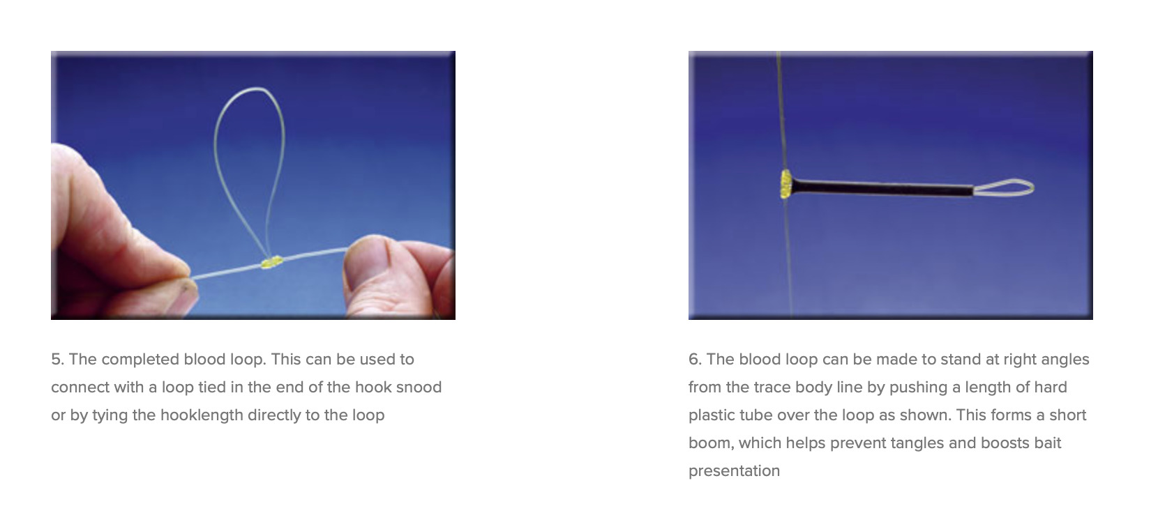 How to Tie the Blood Loop Knot - SeaAngler