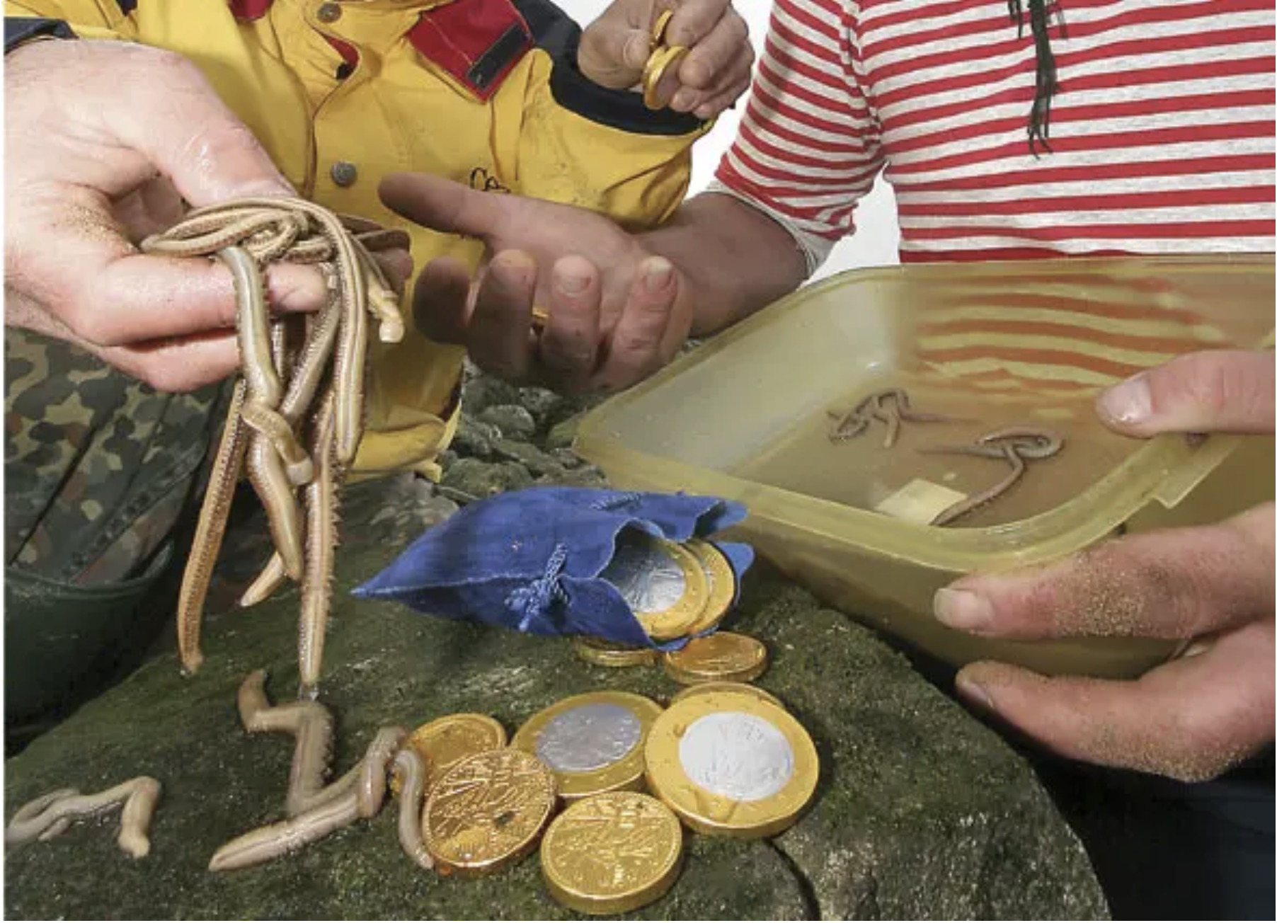 Finding, Digging and Fishing With White Ragworms - SeaAngler