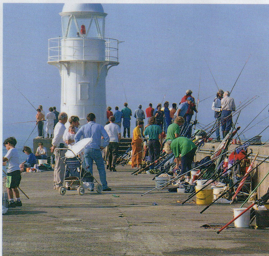 Berry Head to Brixham Harbour - SeaAngler