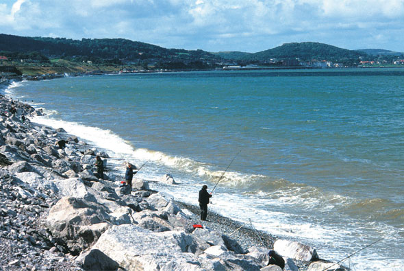 Tan Penmaen Head Sea Fishing Mark - SeaAngler