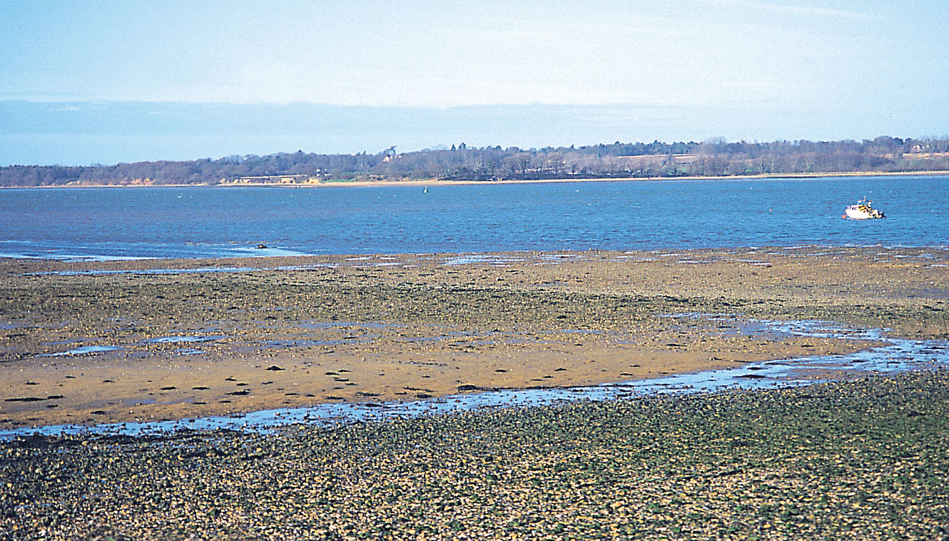 Wrabness Sea Fishing Mark - SeaAngler