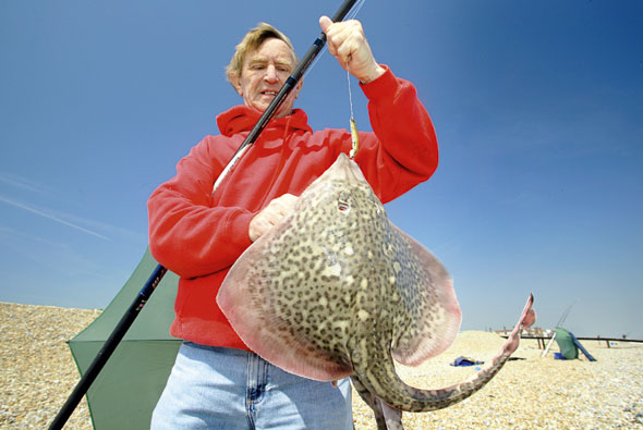 Top Tips for Catching Rays From the Beach - SeaAngler