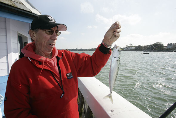 Fishing for Mackerel - Three Great Methods - SeaAngler