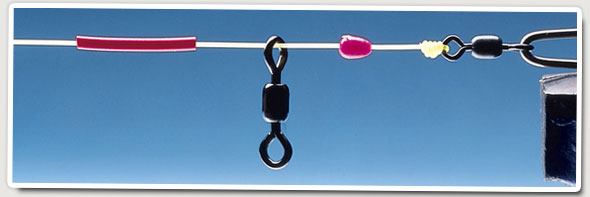 All You Need to Know About Terminal Rigs - SeaAngler