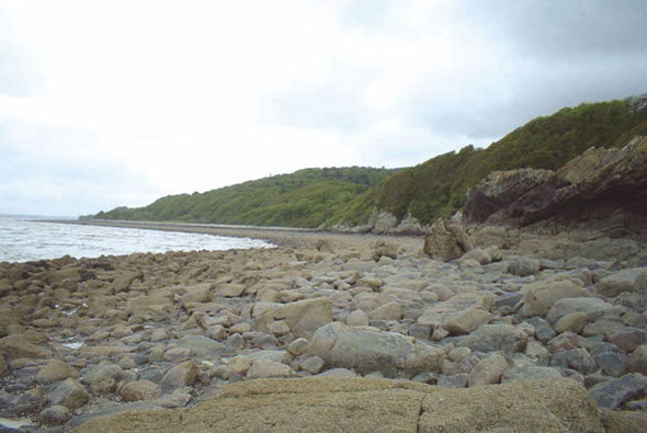 Carsluith & Auchenlarie Sea Fishing Mark - SeaAngler