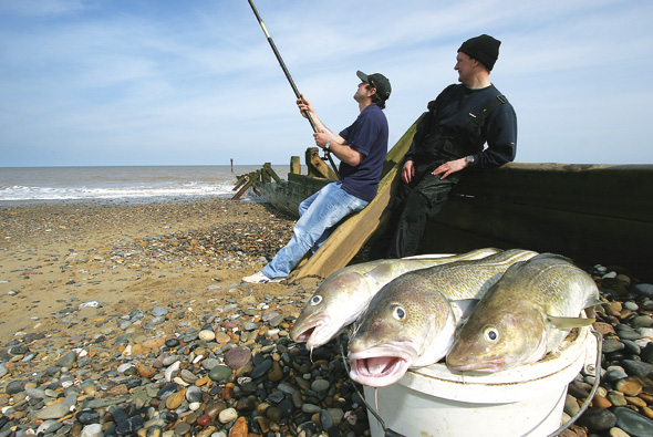 Rough Ground Cod Fishing at Muchalls in Aberdeen - SeaAngler