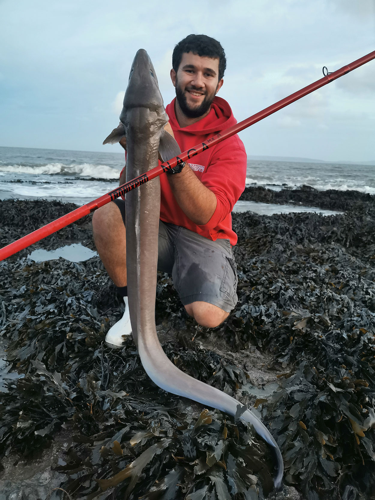 Know Your Fish |Conger Eel - SeaAngler