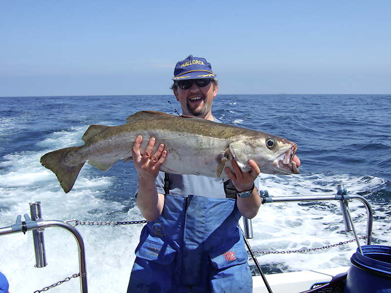 Know Your Fish | Whiting - SeaAngler