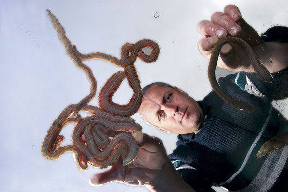 Collecting, Digging and Fishing With Ragworms - SeaAngler