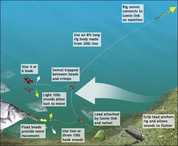 Sea Fishing for Black Bream From the Beach - SeaAngler