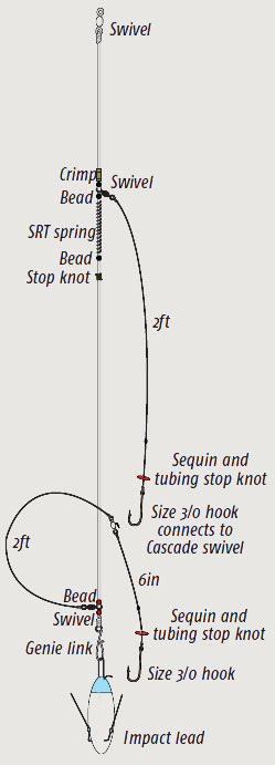 How to Tie the Golds Rig - SeaAngler