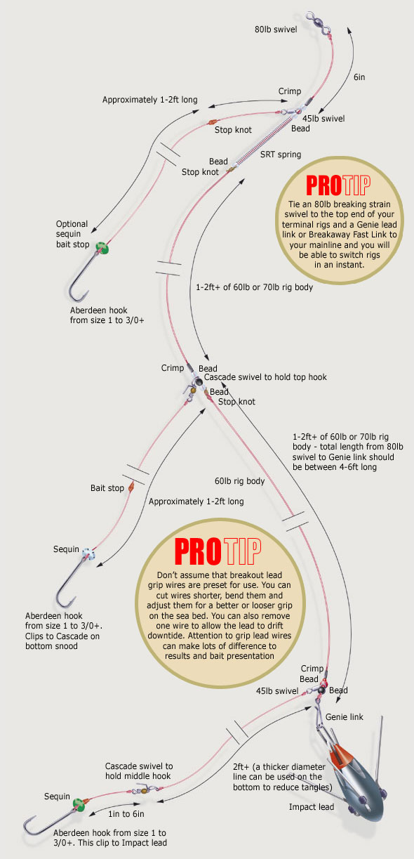 How to Tie the Loop Rig - SeaAngler