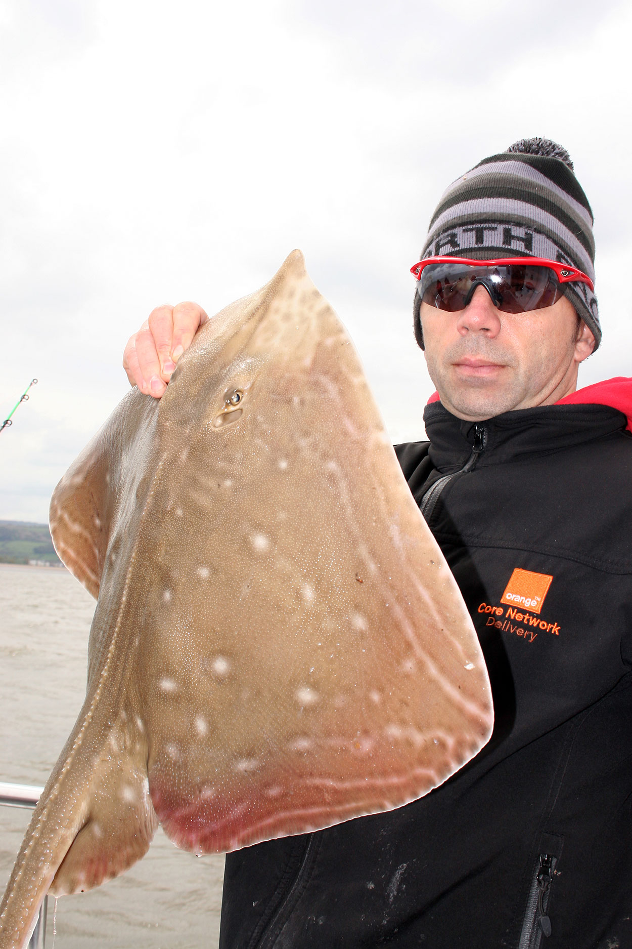 Know Your Fish | Small-eyed Ray - SeaAngler