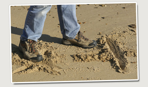 How to Beach Cast, Part 1 - SeaAngler