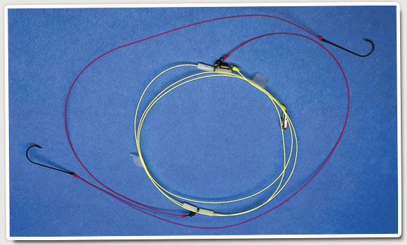 All You Need to Know About Terminal Rigs - SeaAngler